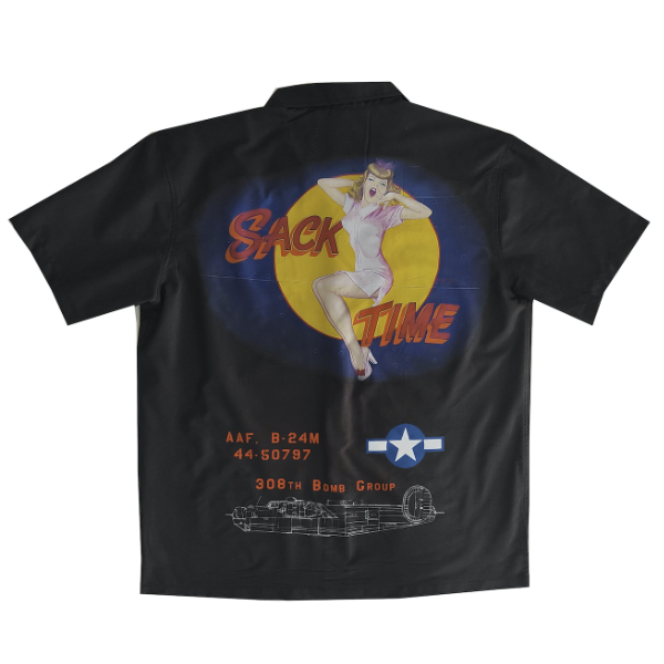 FIGHTING COLORS – The finest aircraft Nose Art replica panels and one ...